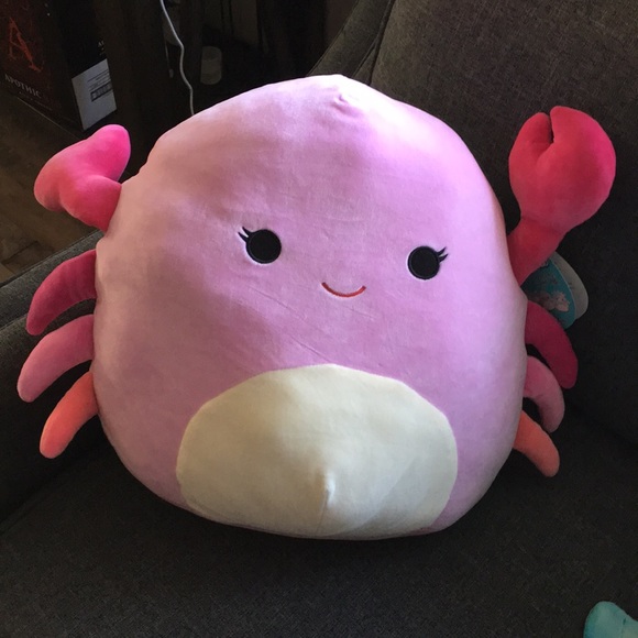Squishmallows | Toys | New With Tags 6 Cailey The Crab Squishmallow ...